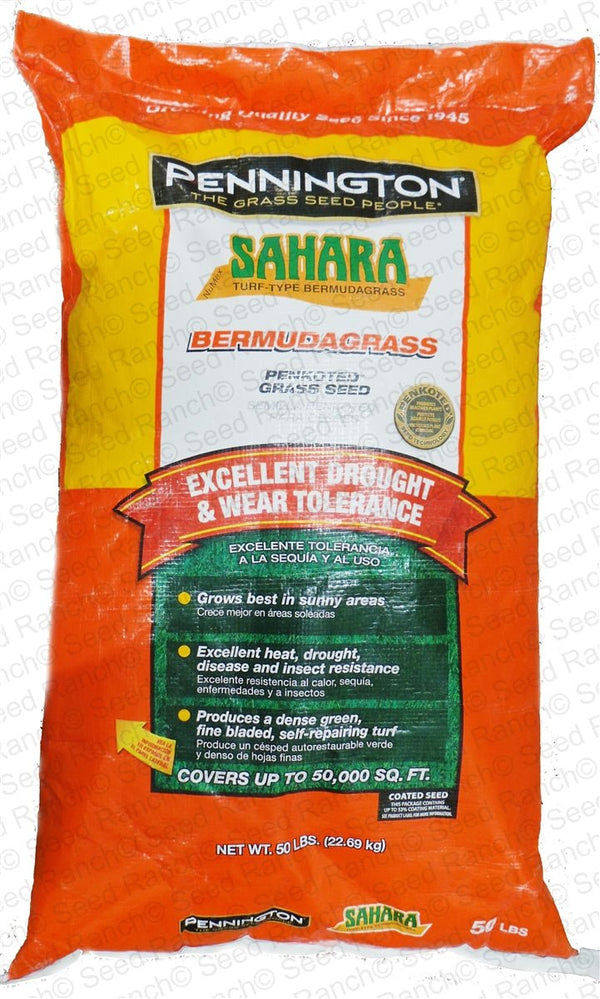 Pennington Sahara Bermudagrass Penkoted Grass Seed 50 Lbs Seed Barn