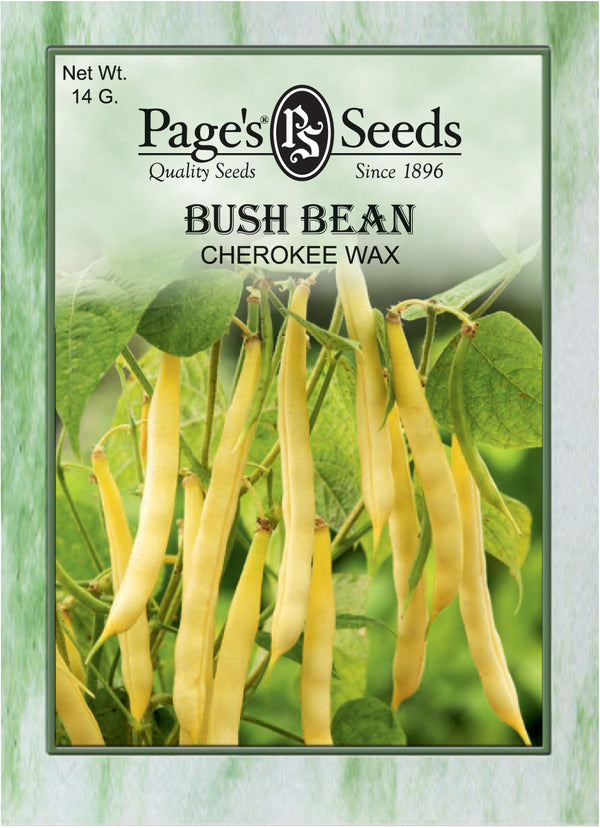 Bush Bean - Cherokee Wax - 1 Packet - Seed Barn