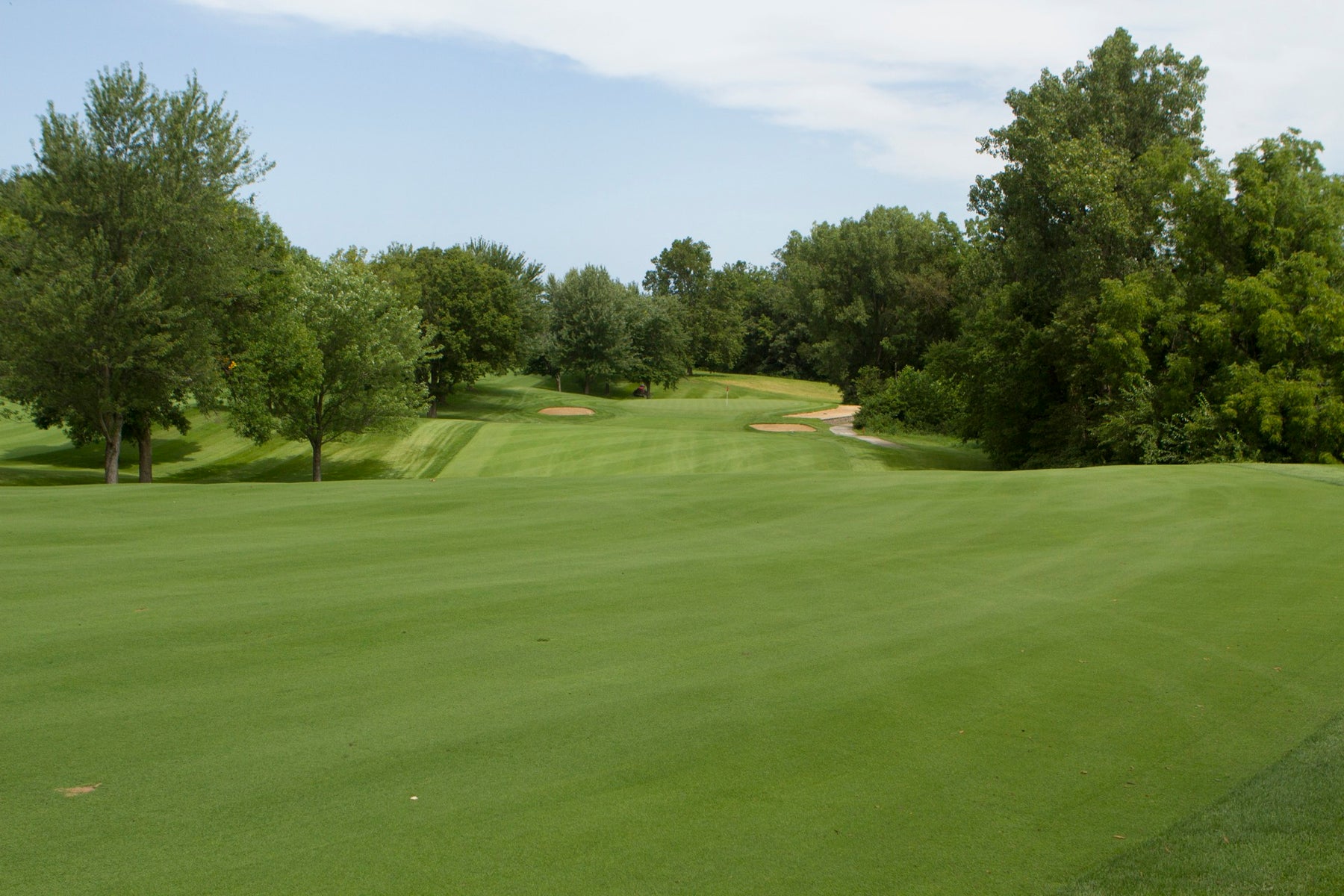 Bentgrass Seed - Seed Barn