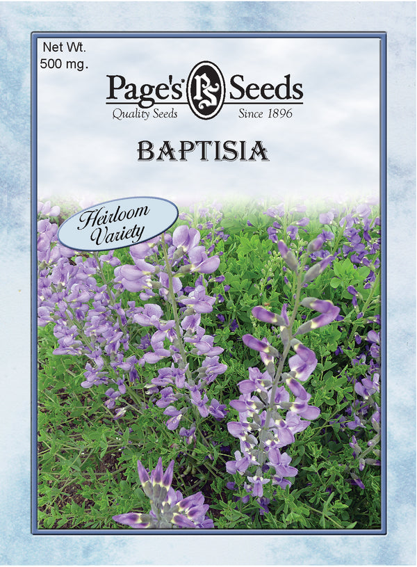 Baptisia, Blue Wild Indigo Seeds - 1 Packet - Seed Barn