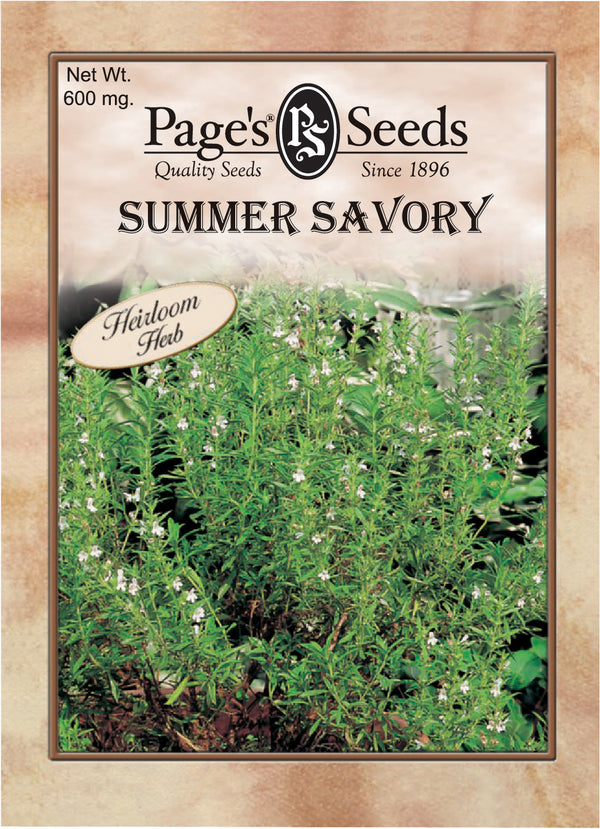 Summer Savory Seeds - 1 packet - Seed Barn