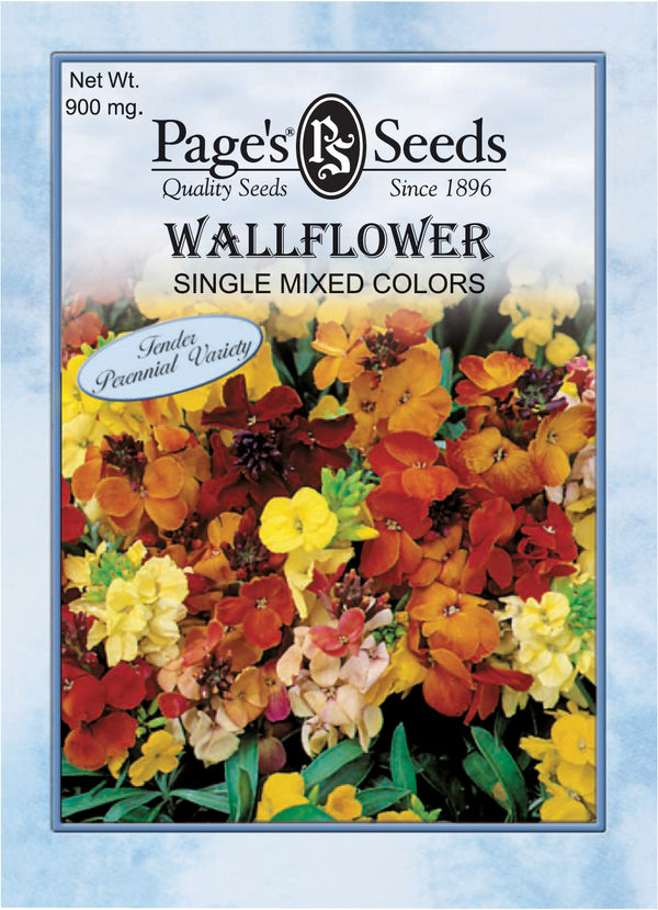 Wallflower Single Mixed Colors Seed - 1 Packet - Seed Barn