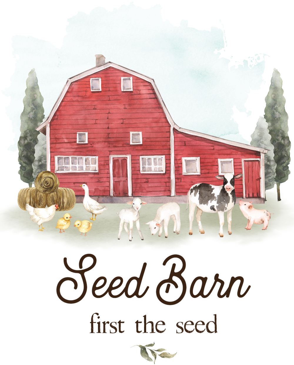 Sunn Hemp Seed 1 Lb Seed Barn sunn-hemp-seed-1-lb-seed-barn