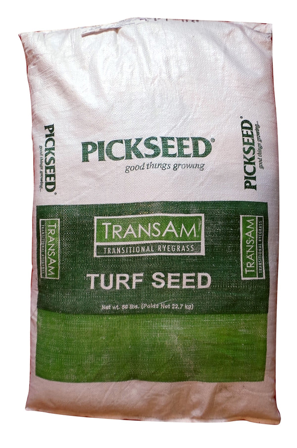 TransAm Intermediate Ryegrass Seed - 50 Lbs. - Seed Barn